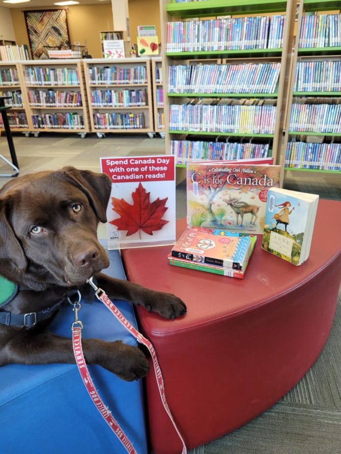 Why Read to a Dog? | Red Deer Public Library